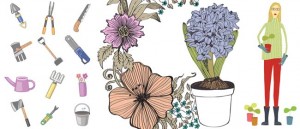 Gardening hints and tips - Sweet Living Magazine