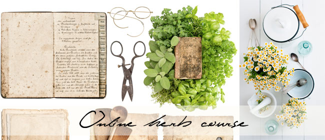 Online herb workshop - Sweet Living Magazine